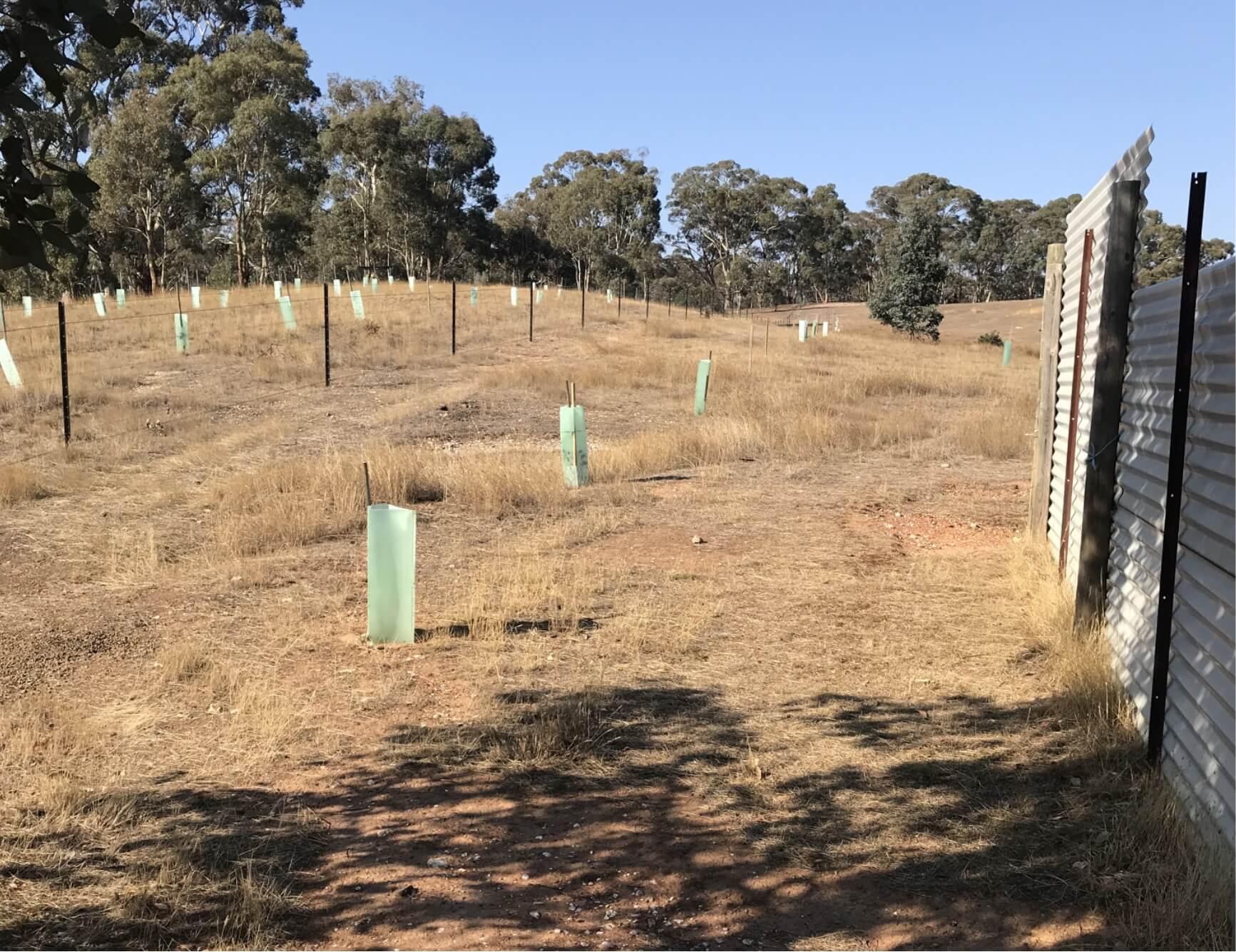 THE UPPER LODDON & AVOCA LANDCARE NETWORK | Local Stories | Stories From Our Community